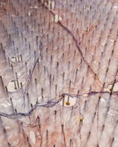 Marco Vignati – SHEER PULSES – THE ITALIAN ART GUIDE