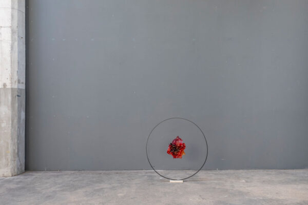 Marco Vignati – SHEER PULSES - THE ITALIAN ART GUIDE