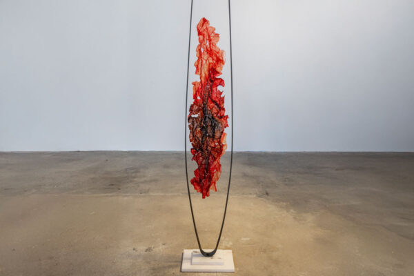 Marco Vignati – SHEER PULSES - THE ITALIAN ART GUIDE