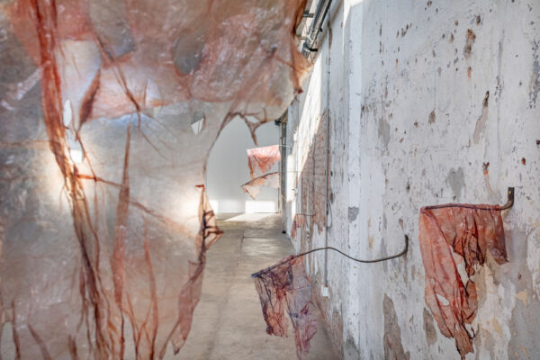 Marco Vignati – SHEER PULSES - THE ITALIAN ART GUIDE